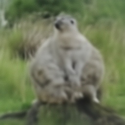 If any other DIRE image preprocessing methods? · Issue #12 · ZhendongWang6/DIRE · GitHub