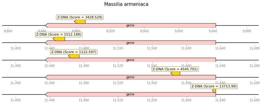 GitHub - Polindromka/hse22_project