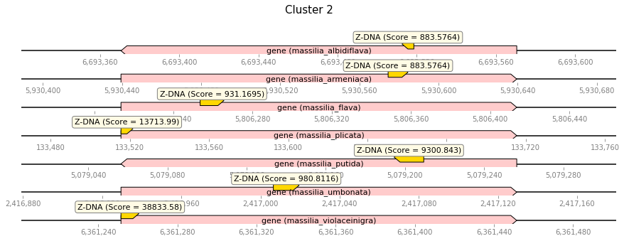 GitHub - Polindromka/hse22_project
