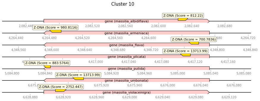 GitHub - Polindromka/hse22_project