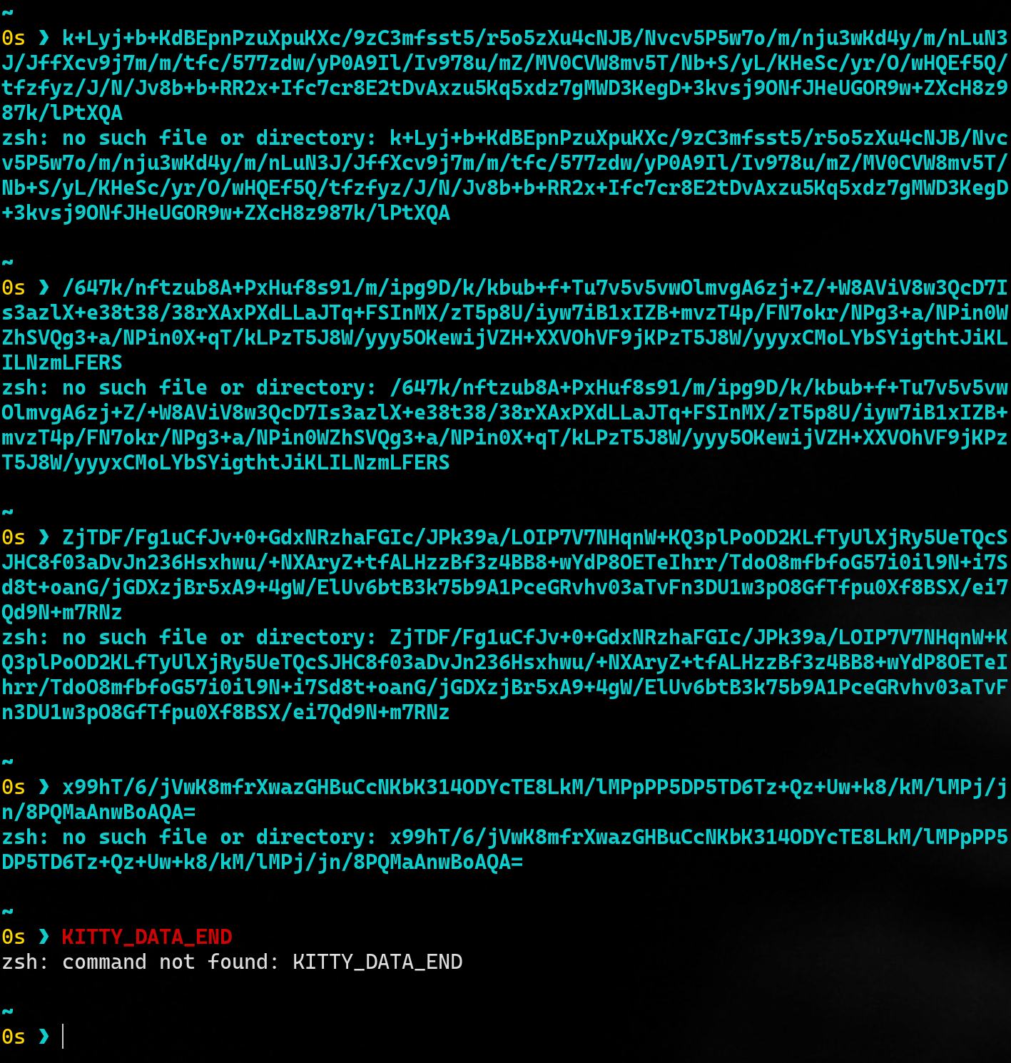 SSH Not Working · Issue #5054 · kovidgoyal/kitty · GitHub