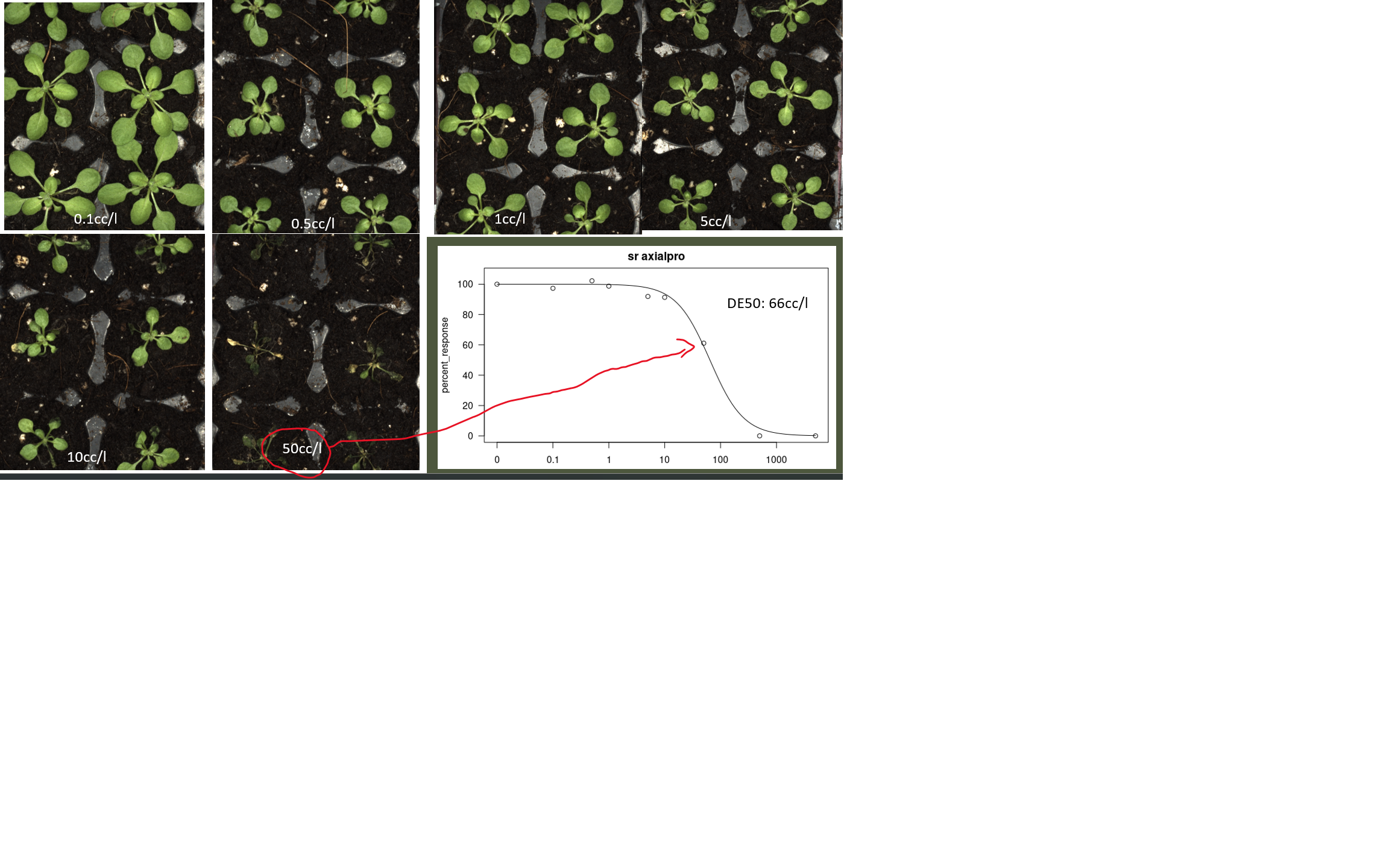 dead plant values · Issue #1203 · danforthcenter/plantcv · GitHub