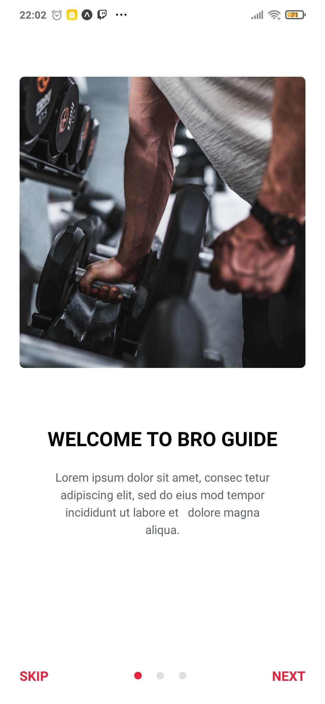 GitHub - AlanSerin/BroGuide: get swole