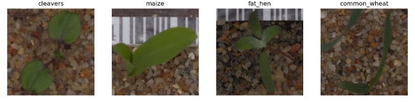 GitHub - kishkath/Plant-Seedlings-Classification: A Computer Vision Classification Project ...