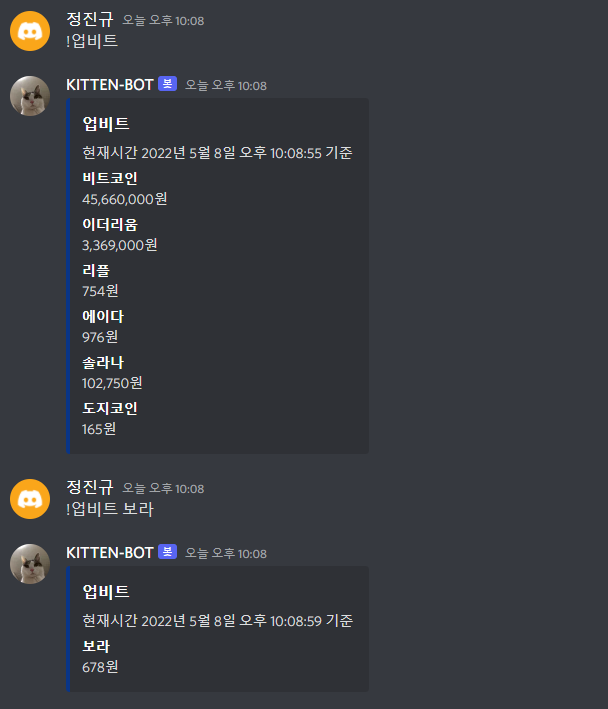 GitHub - seol12/kittenbot