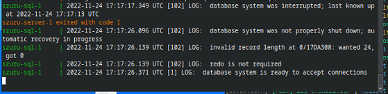database system was interrupted · Issue #527 · rr-/szurubooru · GitHub