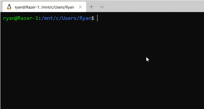 Prompt is slow to render · Issue #4734 · microsoft/WSL · GitHub