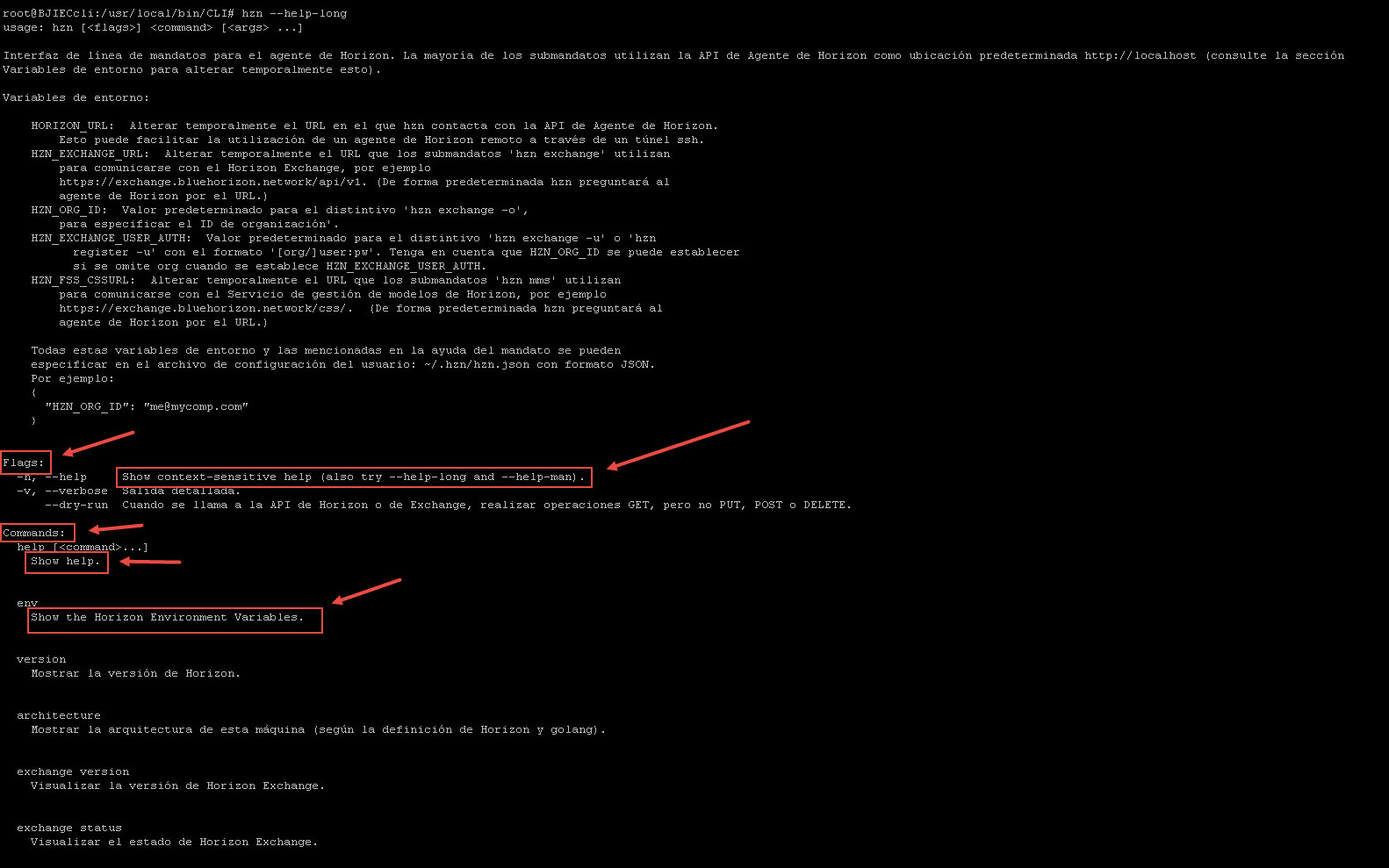 Bug Tvt Iec41 English Strings Are Displayed In Cli Hzn Help Long In Top Session · Issue