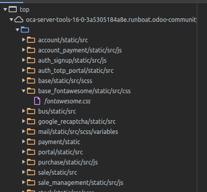 [16.0] Can't use base_fontawesome, not showing icons · Issue #2694 · OCA/server-tools · GitHub