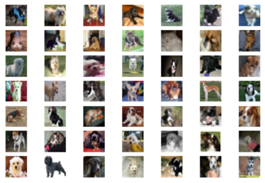 GitHub - GraziosoG/gan-cifar10-dog