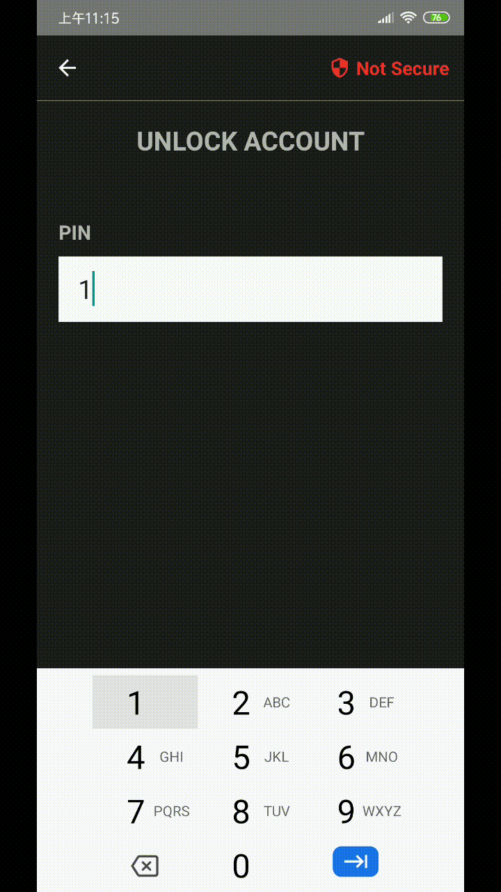 Disable instant pin check, and add maximum input time. · Issue #311 · novasamatech/parity-signer ...