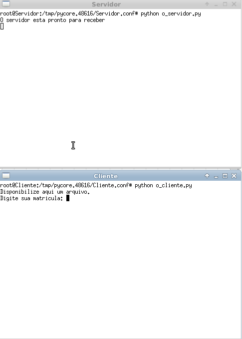 GitHub - itallopacheco/servidor_python: Trabalho da matéria Laboratório de redes UFS 2021.2