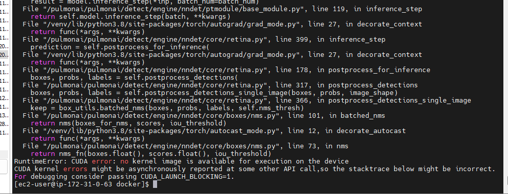 while trying to perform lung nodule detection (task Luna16) using "detect/engine/scripts/nodule ...
