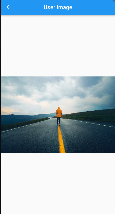 GitHub - Yureyk0/flutter_user_list