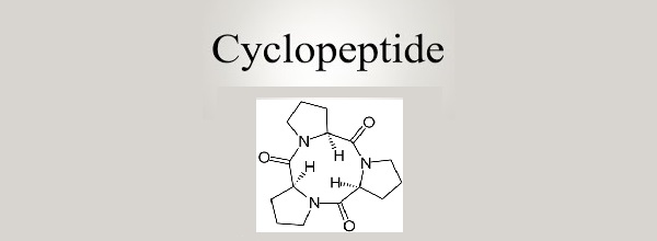 GitHub - AhmedNasser1601/CyclopeptideSequencing: Prediction of all the ...