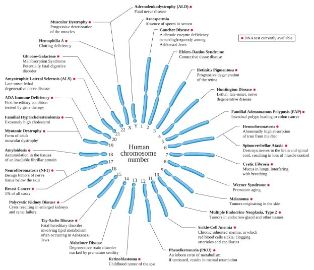 GitHub - AhmedNasser1601/Mutational-Diseases: Mutational Diseases ...