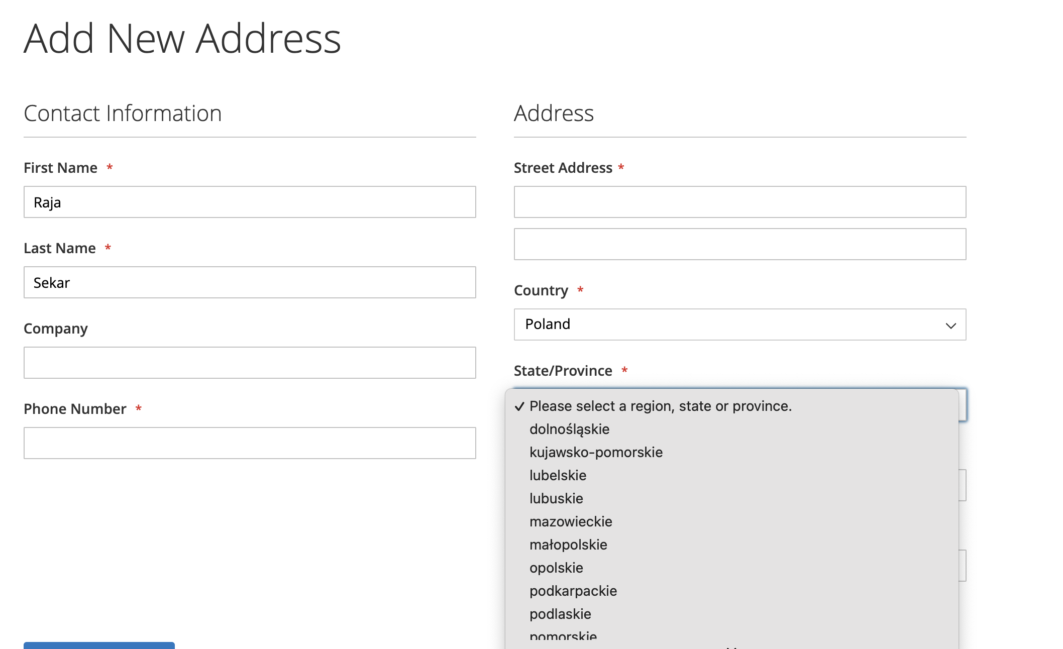 Uncaught TypeError: window.checkoutConfig is undefined on Add New Address form region updater ...