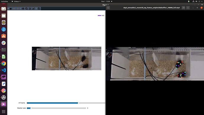 Mismatch between labeled video and csv created using analyze videos tab. · Issue #2442 ...