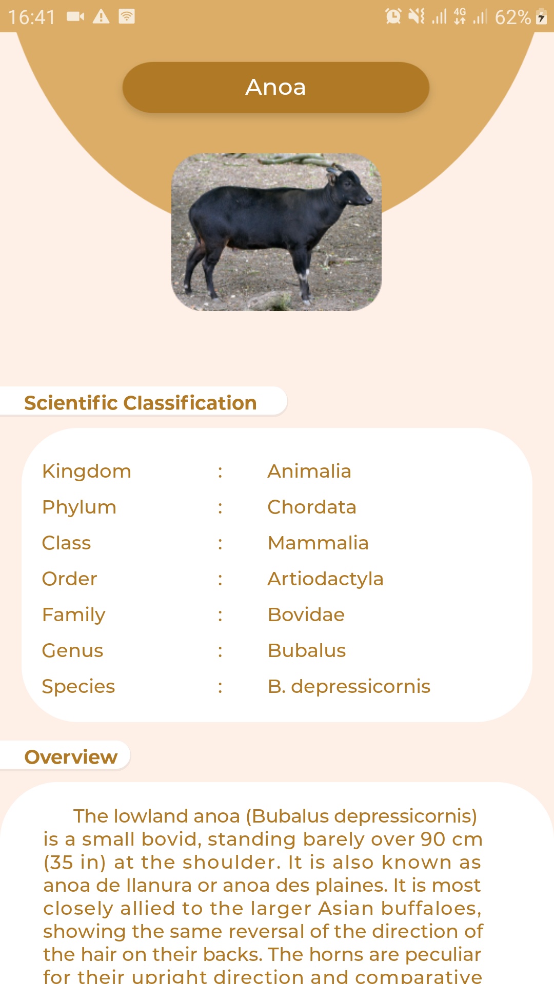 GitHub - Yogadimas/FaunaIndonesia: An application that displays ...
