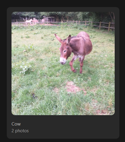 Funny recognize · Issue #418 · nextcloud/recognize · GitHub