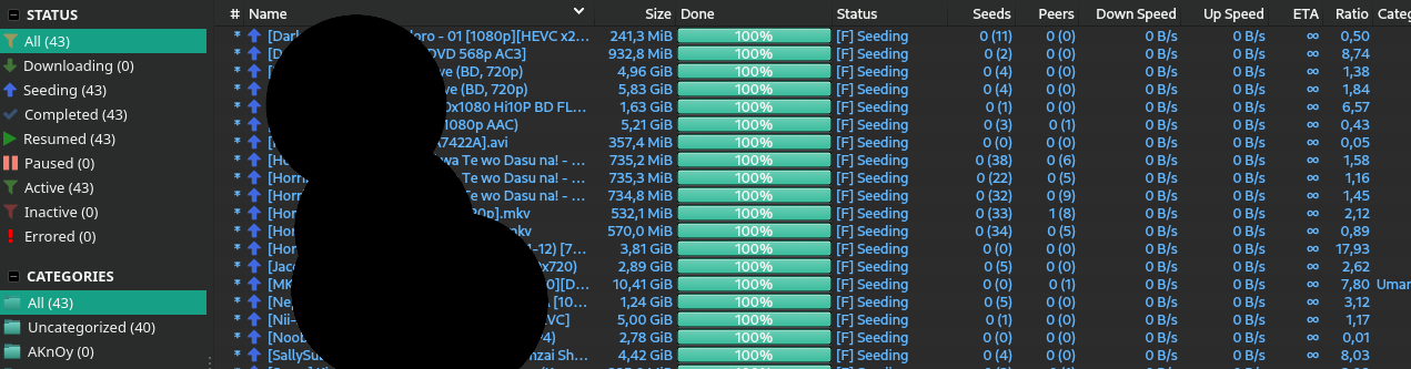 Qbit does not connect to my internet · Issue #11915 · qbittorrent/qBittorrent · GitHub