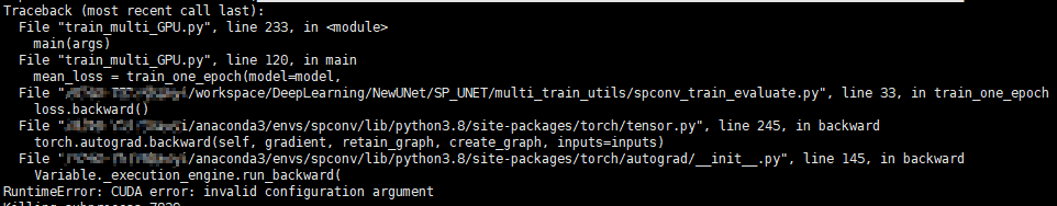 About the loss.backward() error reporting · Issue #465 · traveller59/spconv · GitHub