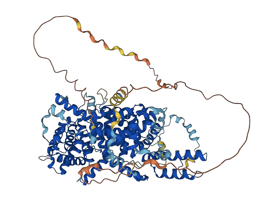 Nightingale structure - AlphaFold colouring · Issue #255 · ebi-webcomponents/nightingale · GitHub