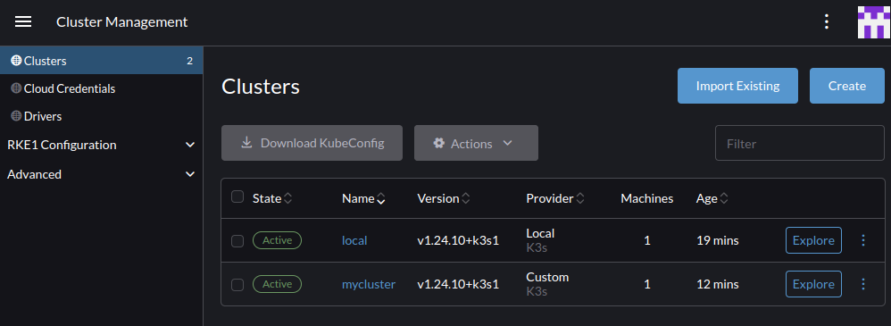 [BUG] Lost connectivity between Rancher manager and one-node k3s cluster (after reboot) · Issue ...