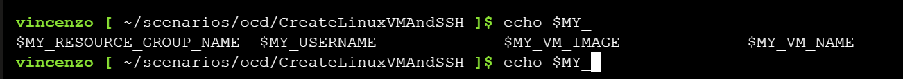 Values of environment variables are not available in the console after completion · Issue #64 ...