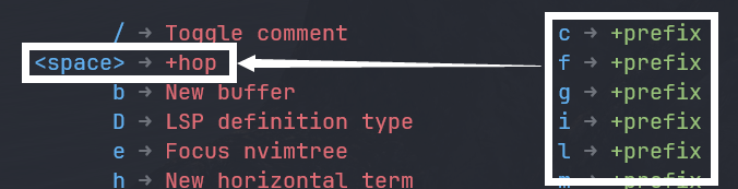 which-key.nvim: Name prefixes · Issue #2257 · NvChad/NvChad · GitHub