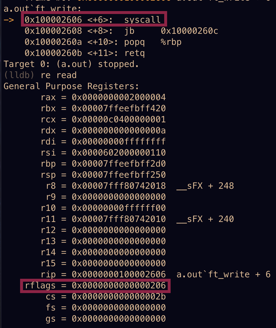 GitHub - jungcow/Libasm