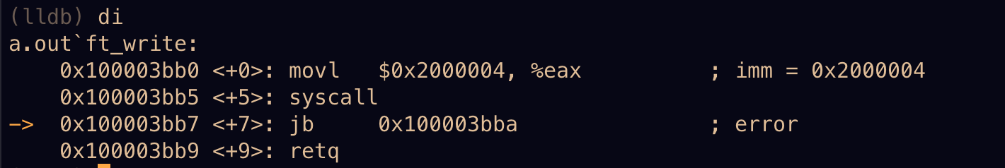 GitHub - jungcow/Libasm