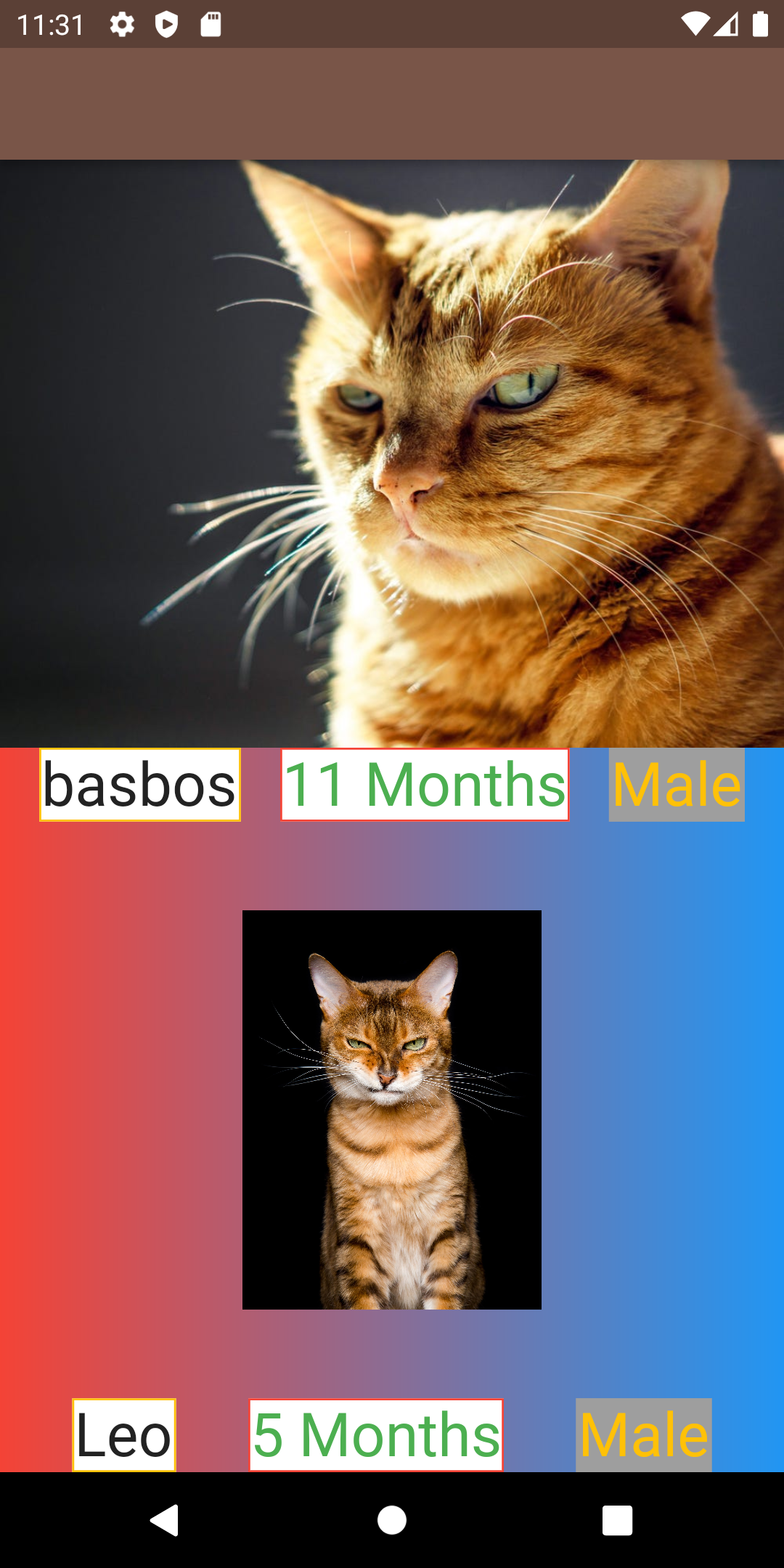 GitHub - omarzghoul/lab1