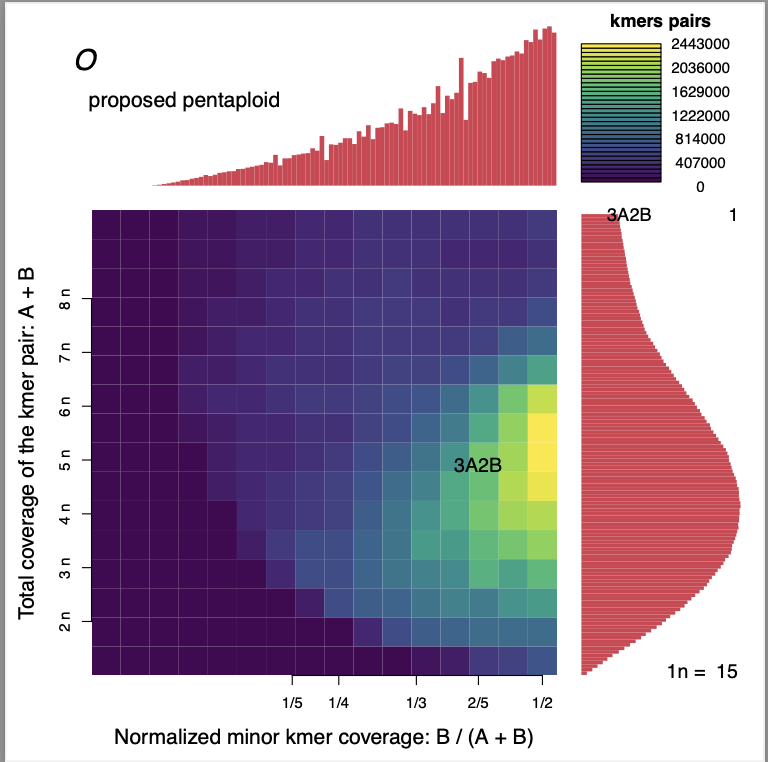Unclear If Genome Is A Diploid Smudgeplot Or Pentaploid Ploidyplot · Issue 134