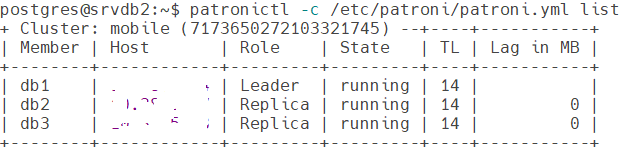 Failed to drop replication slot · Issue #2486 · patroni/patroni · GitHub