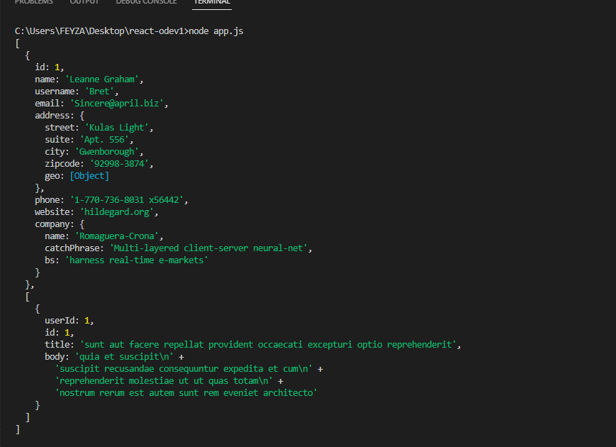 GitHub - feyzanursalgut/react-odev1