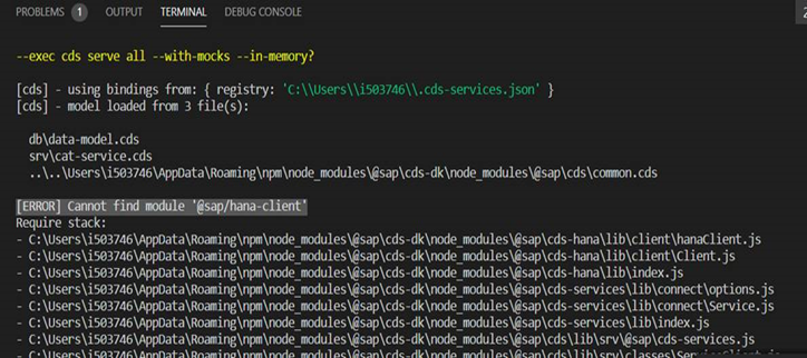 Issue while executing the step Enhance project configuration for SAP ...