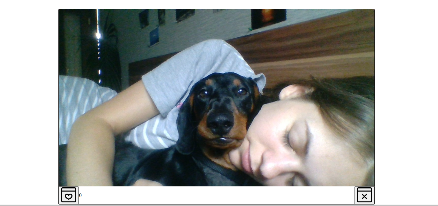 GitHub - dariapatskevich/Diploma-App