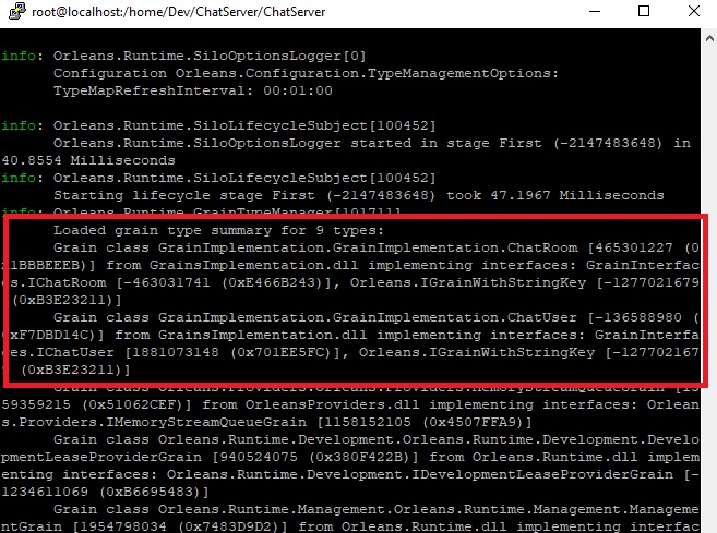 Cannot find an implementation class for grain interface: "custom grain". Make sure the grain ...