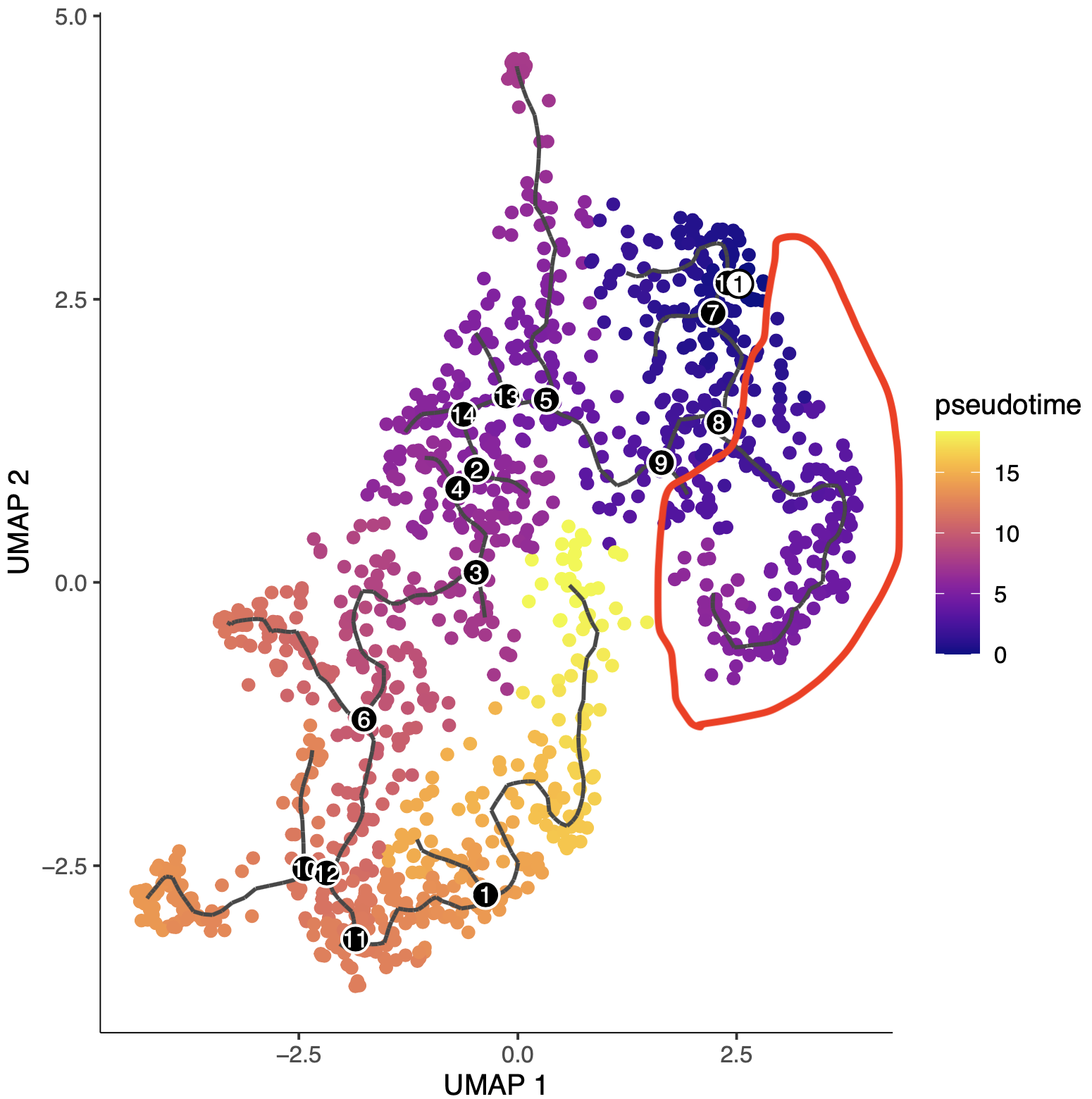 Non-interactive selection of branch points in Monocle3 · Issue #452 ...