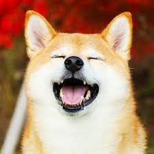 GitHub - marvneo/ASCII-Art: Creates an ASCII art of your jpeg file