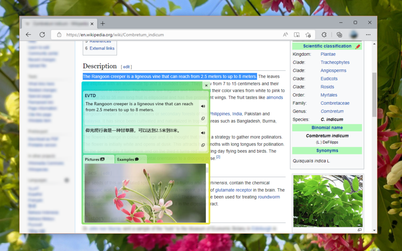 EVTD-pre/Help.md at main · toantc1024/EVTD-pre · GitHub