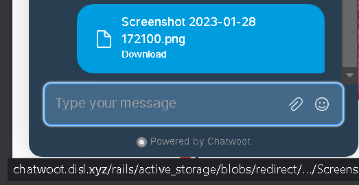 Image Uploads Are Not Persistent · Issue 6402 · Chatwootchatwoot · Github 