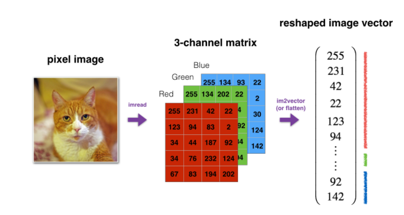 GitHub - yangshiteng/Coursera-01---Neural-Network-and-Deep-Learning