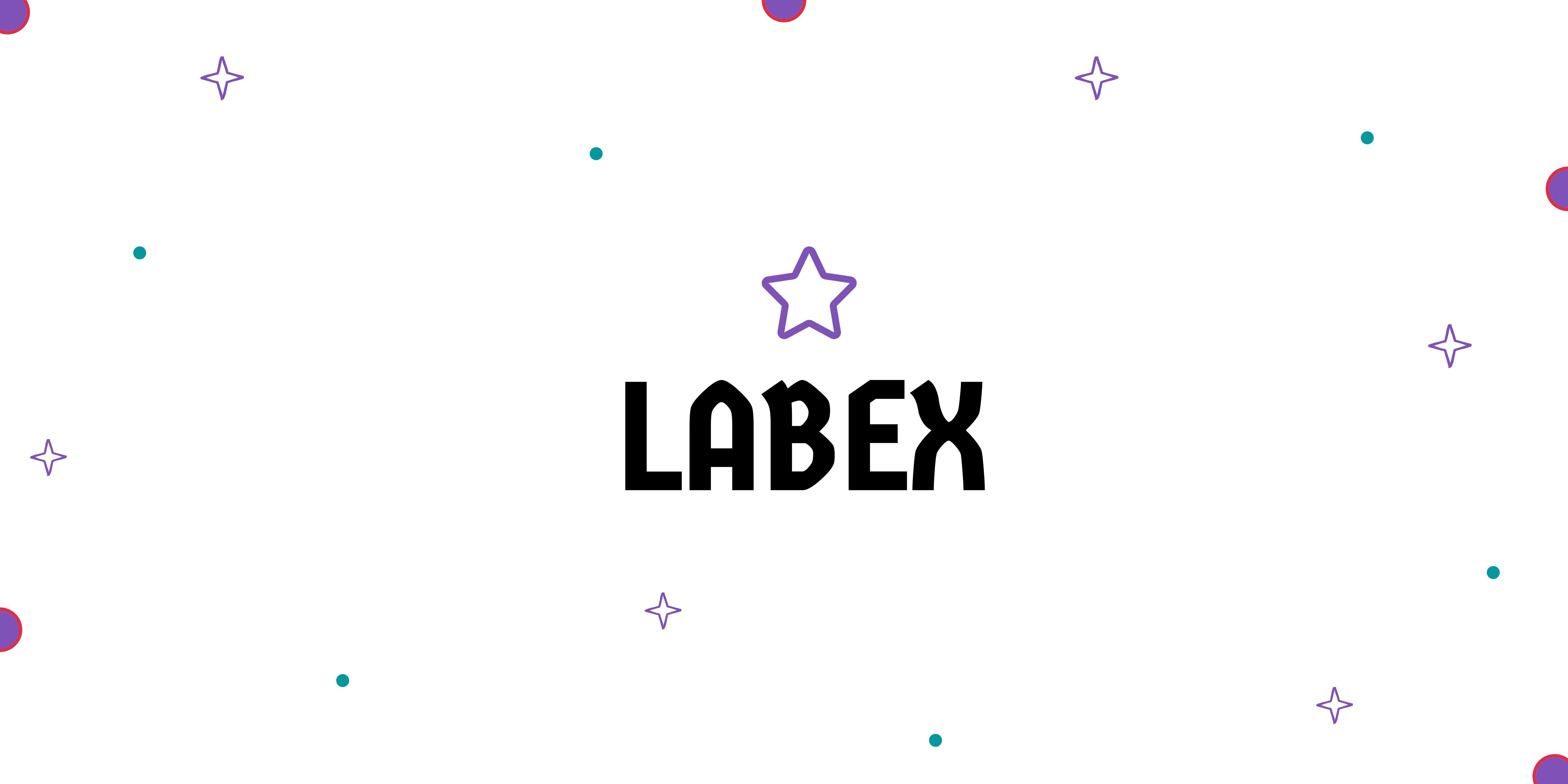 GitHub - LucasVeras669/LabeX