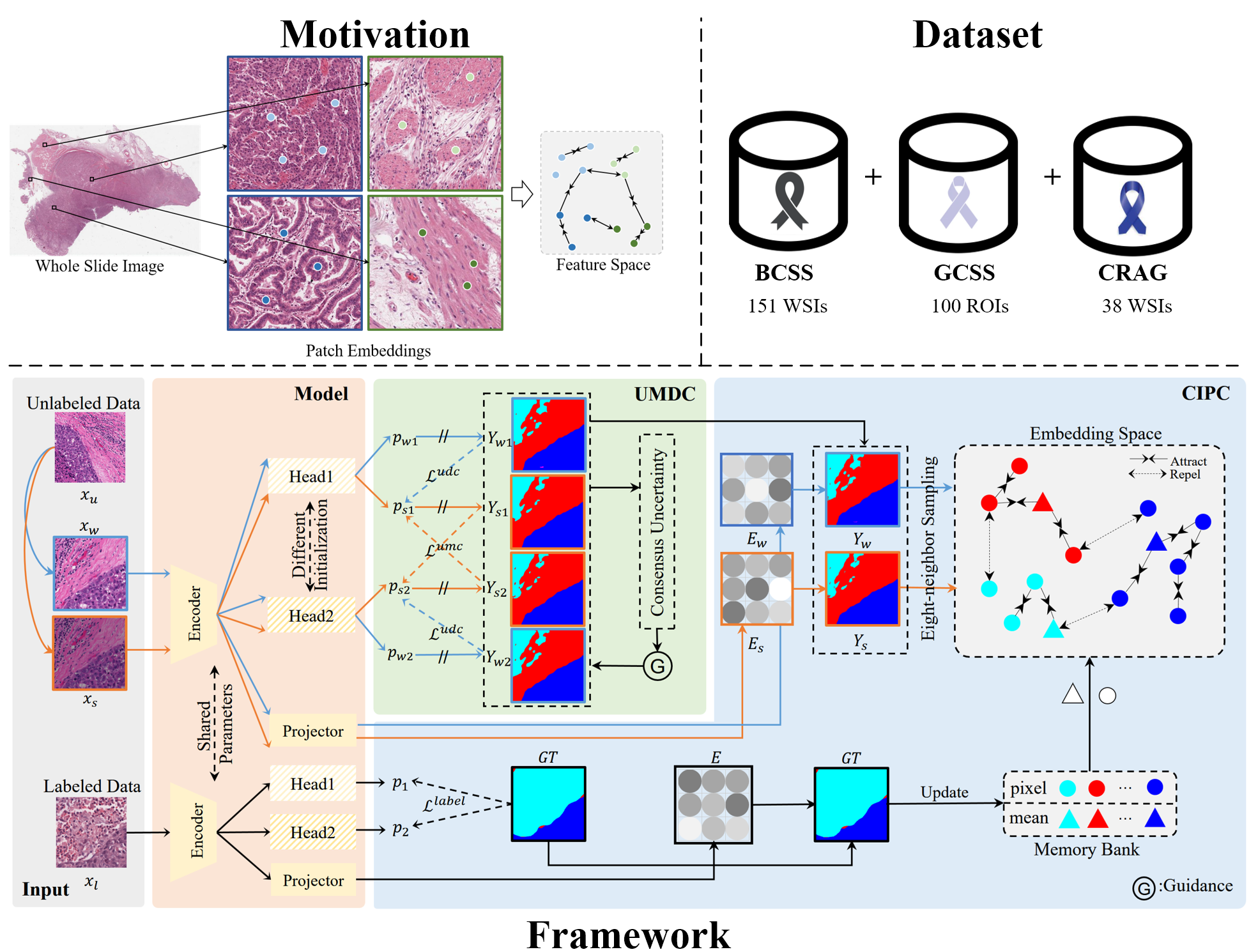 GitHub - Jiangbo-Shi/SSPCL: Semi-Supervised Pixel Contrastive Learning Framework for Tissue ...