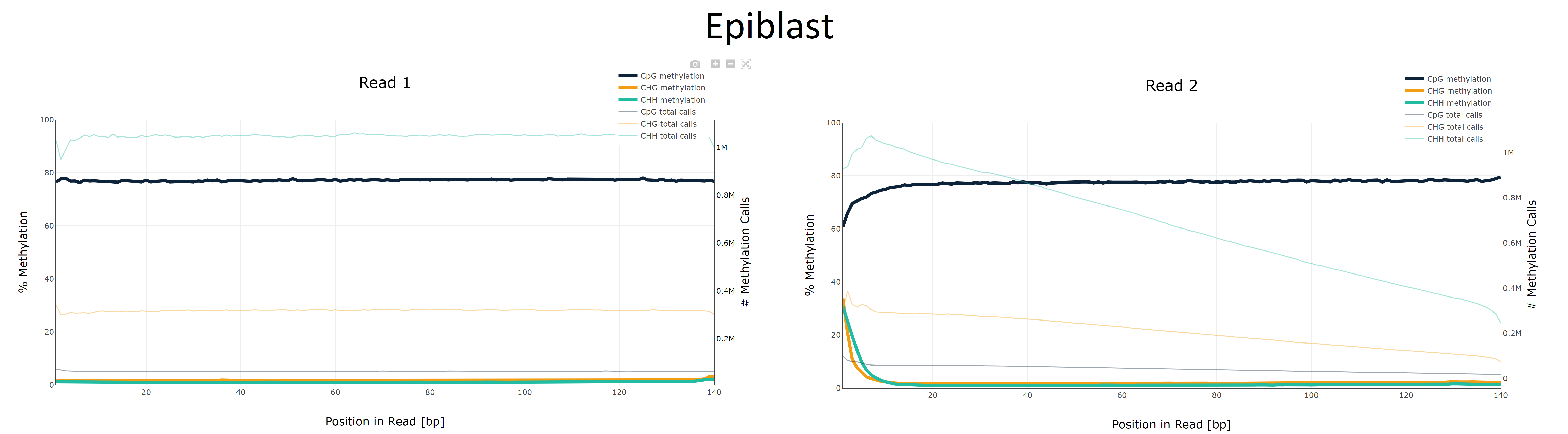 GitHub - celldominator/hse_hw1_meth