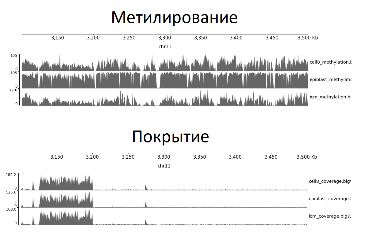 GitHub - celldominator/hse_hw1_meth