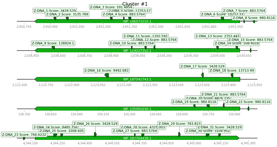 GitHub - celldominator/hse22_project