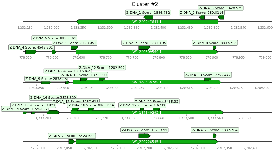 GitHub - celldominator/hse22_project